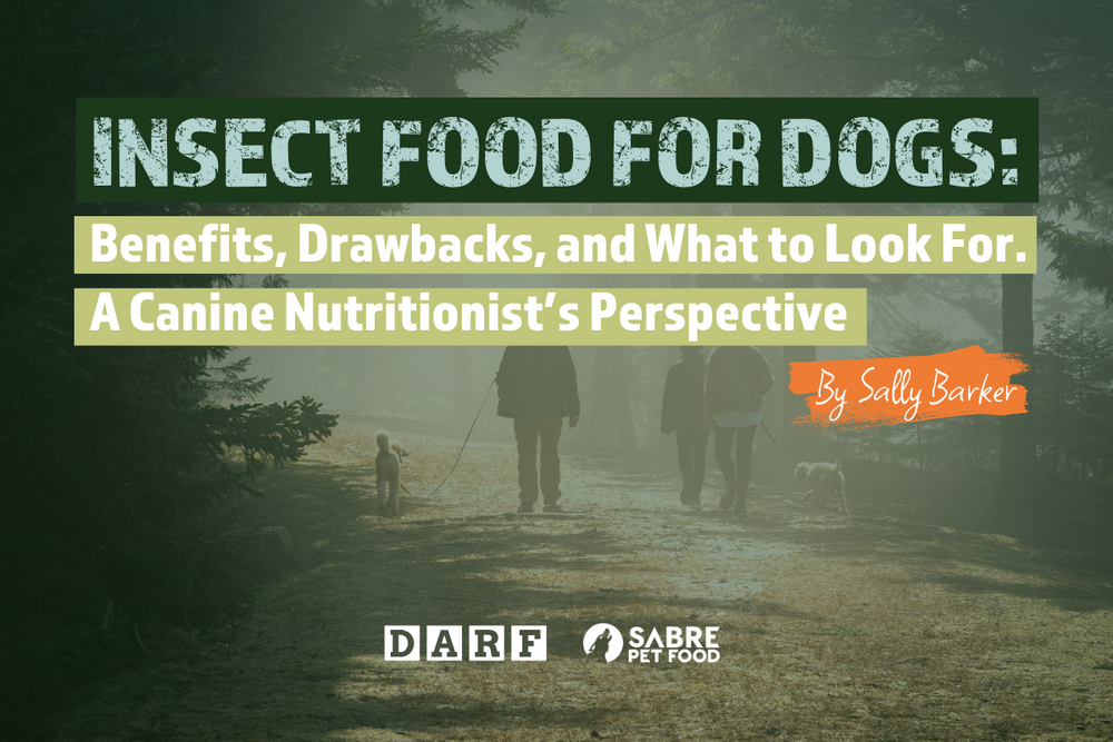 Insect Food for Dogs: Benefits, Drawbacks, and What to Look For. A Can