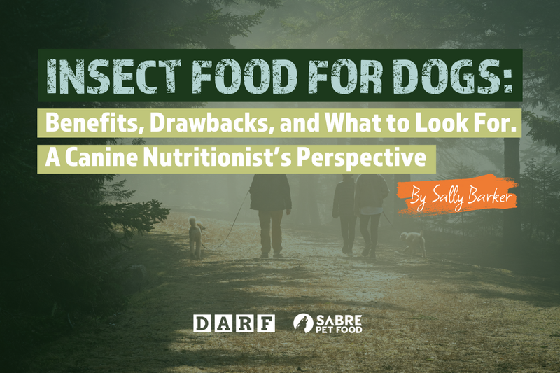 Insect Food for Dogs: Benefits, Drawbacks, and What to Look For. A Can
