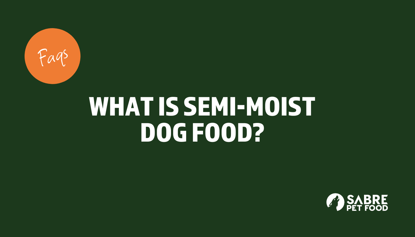 What is Semi-Moist Dog Food?