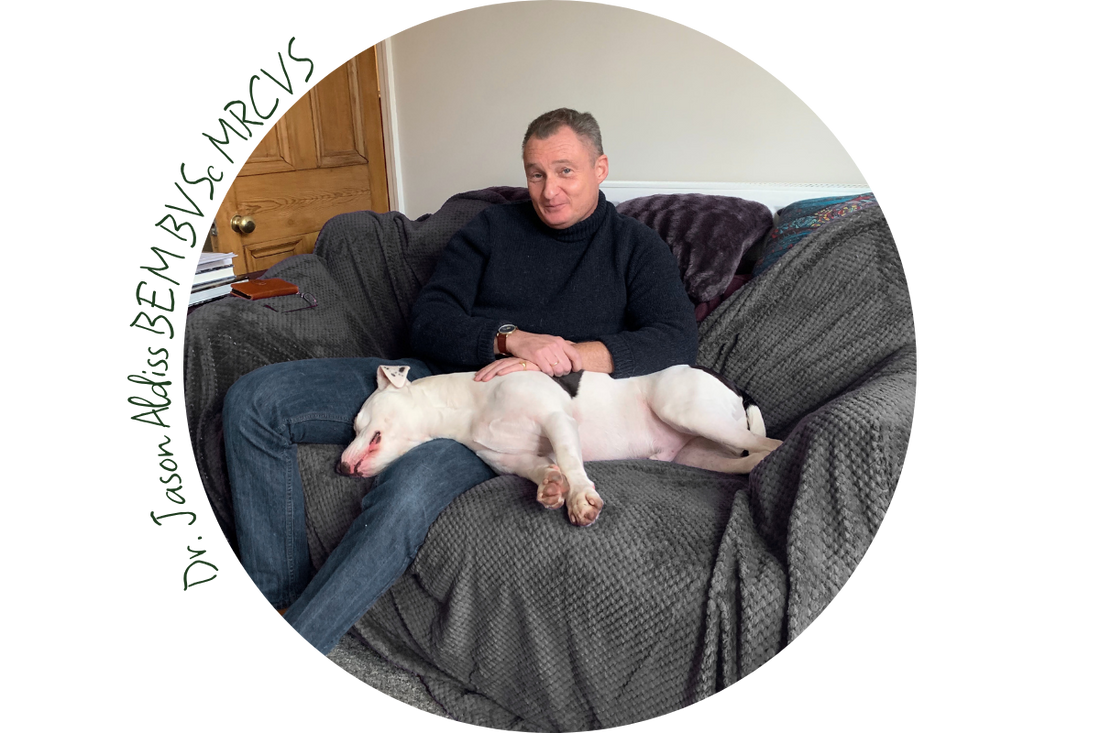 Dr Jason Aldiss